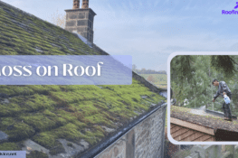 Butterfly Roofing | Style, Benefits & Installation Guide