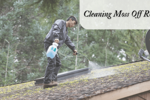 Homemade Roof Moss Killer Recipe