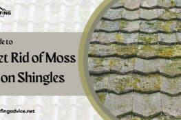 5 Best Paint Picks for Metal Roof 2024